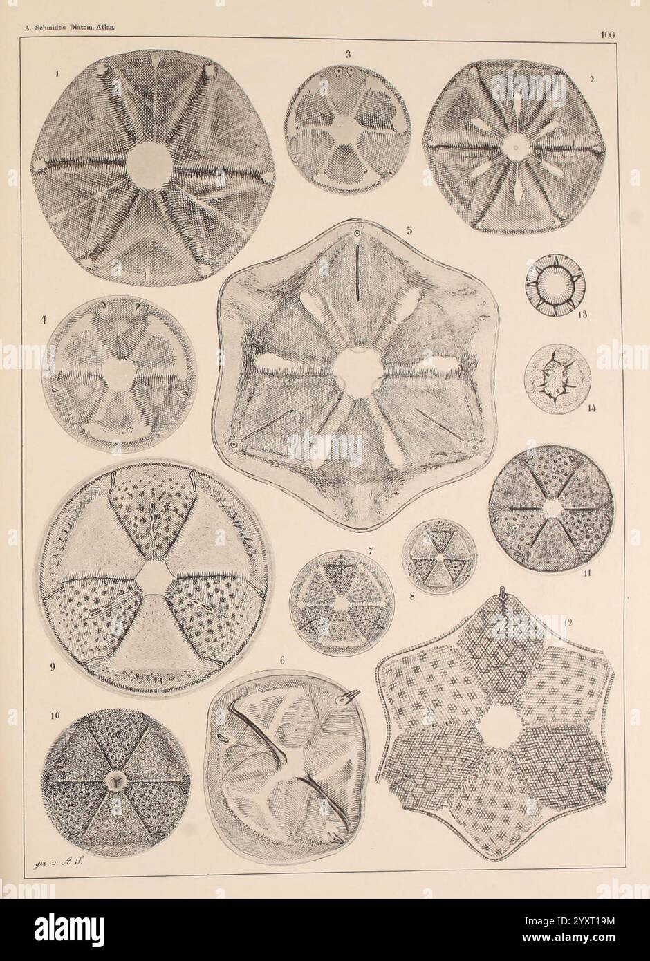 Detailed internal features hi-res stock photography and images - Alamy