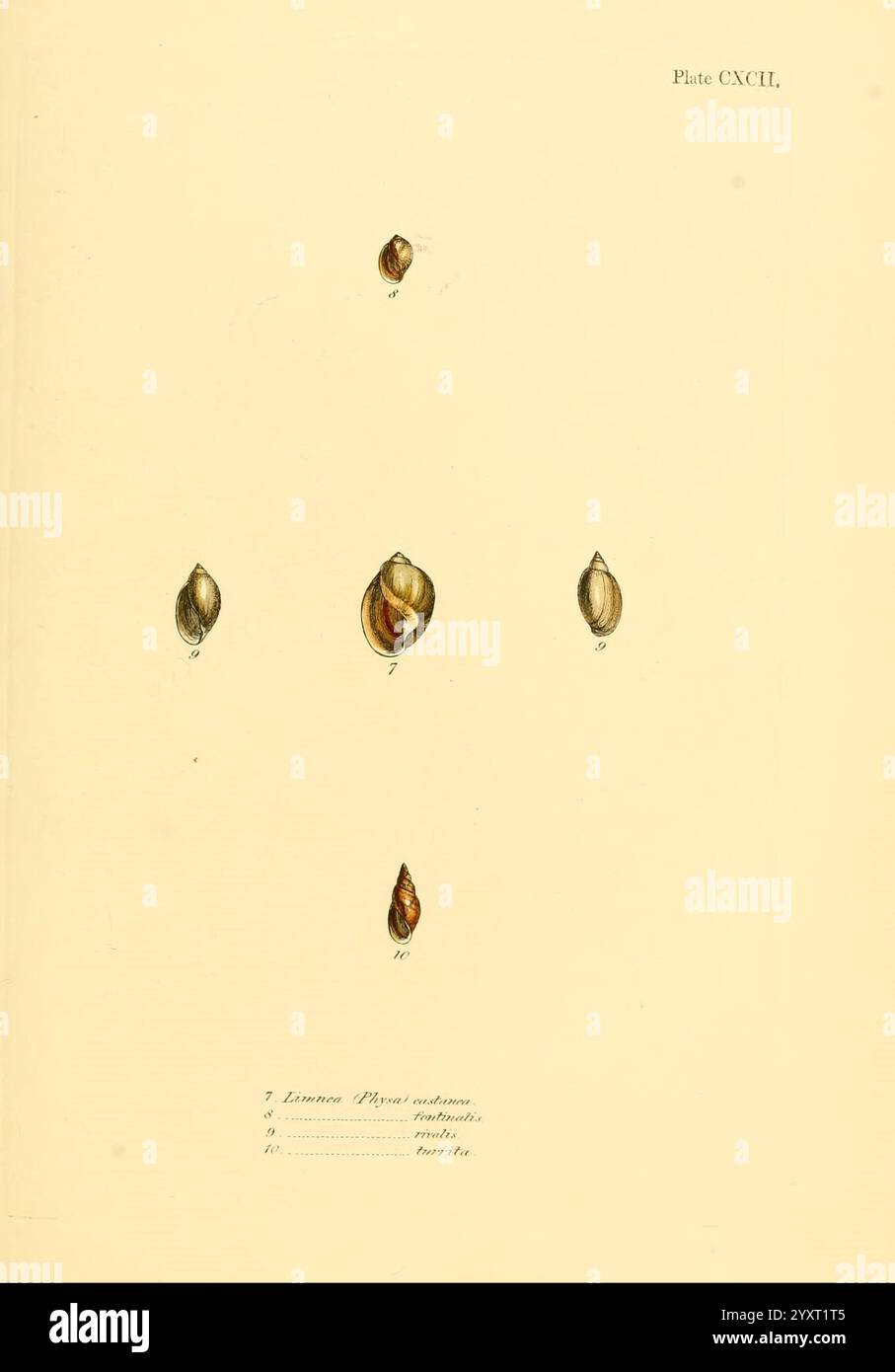 Noticeable layout hi-res stock photography and images - Alamy