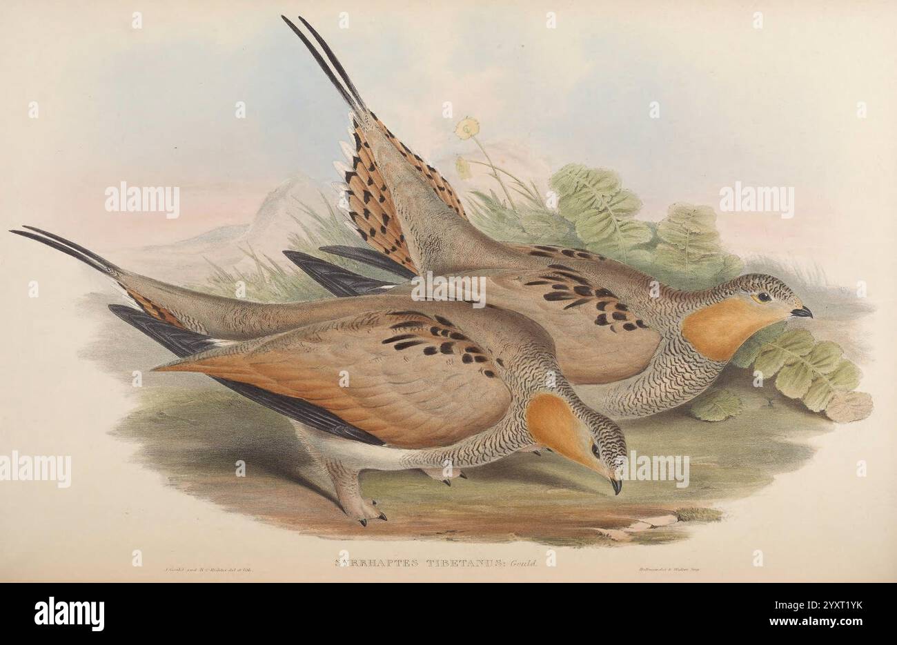 Positioned near lush greenery hi-res stock photography and images - Alamy