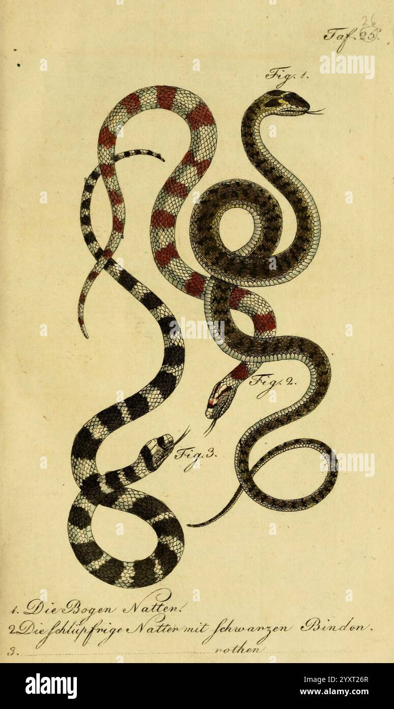 Simply numbered hi-res stock photography and images - Alamy