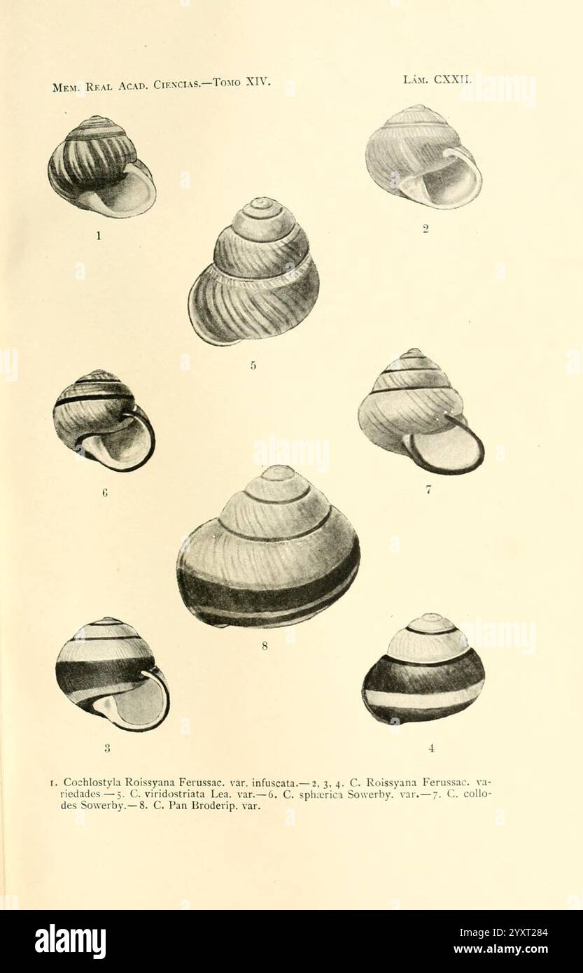 Specific identification numbers next hi-res stock photography and ...