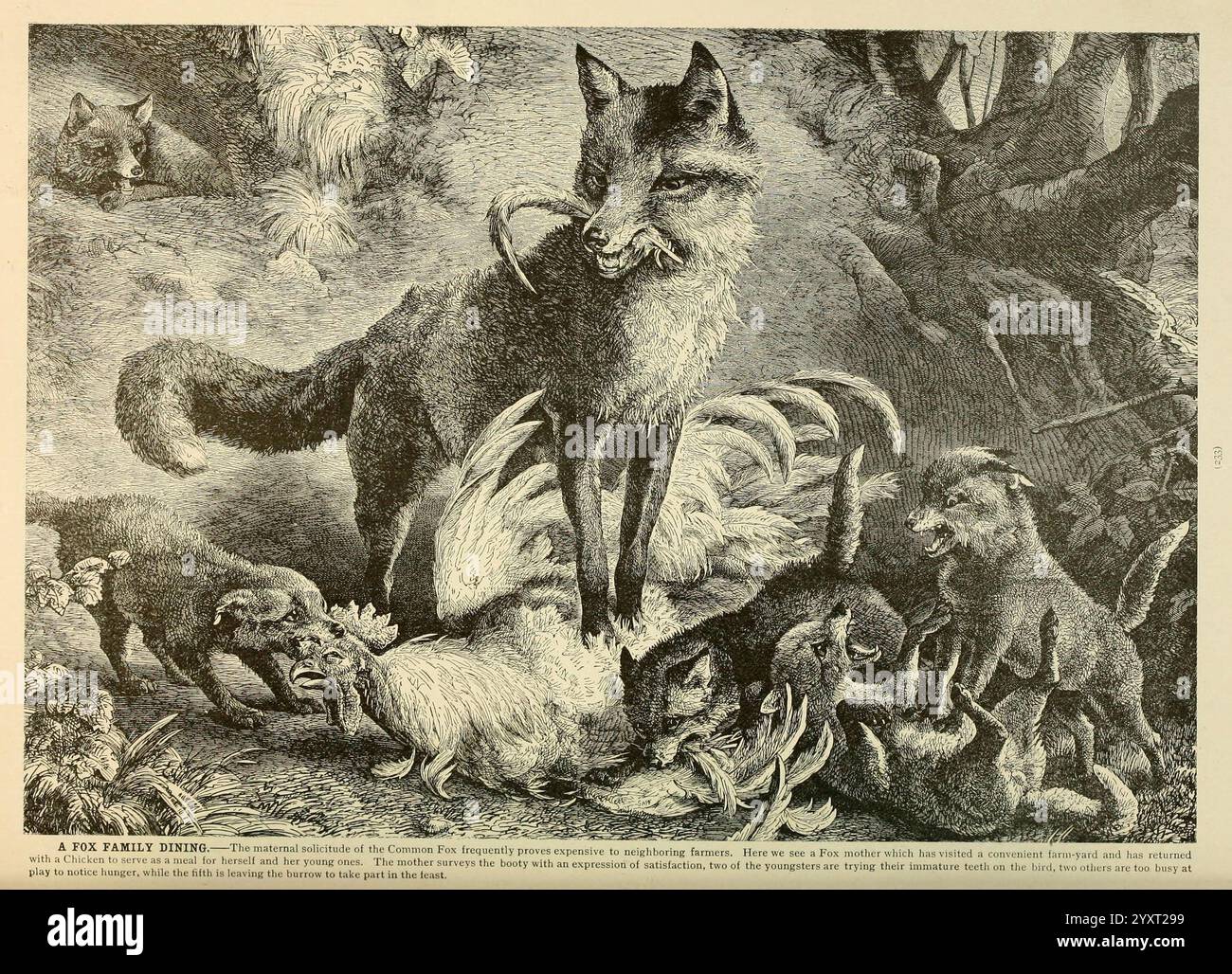 Displaying distinct expressions hi-res stock photography and images - Alamy