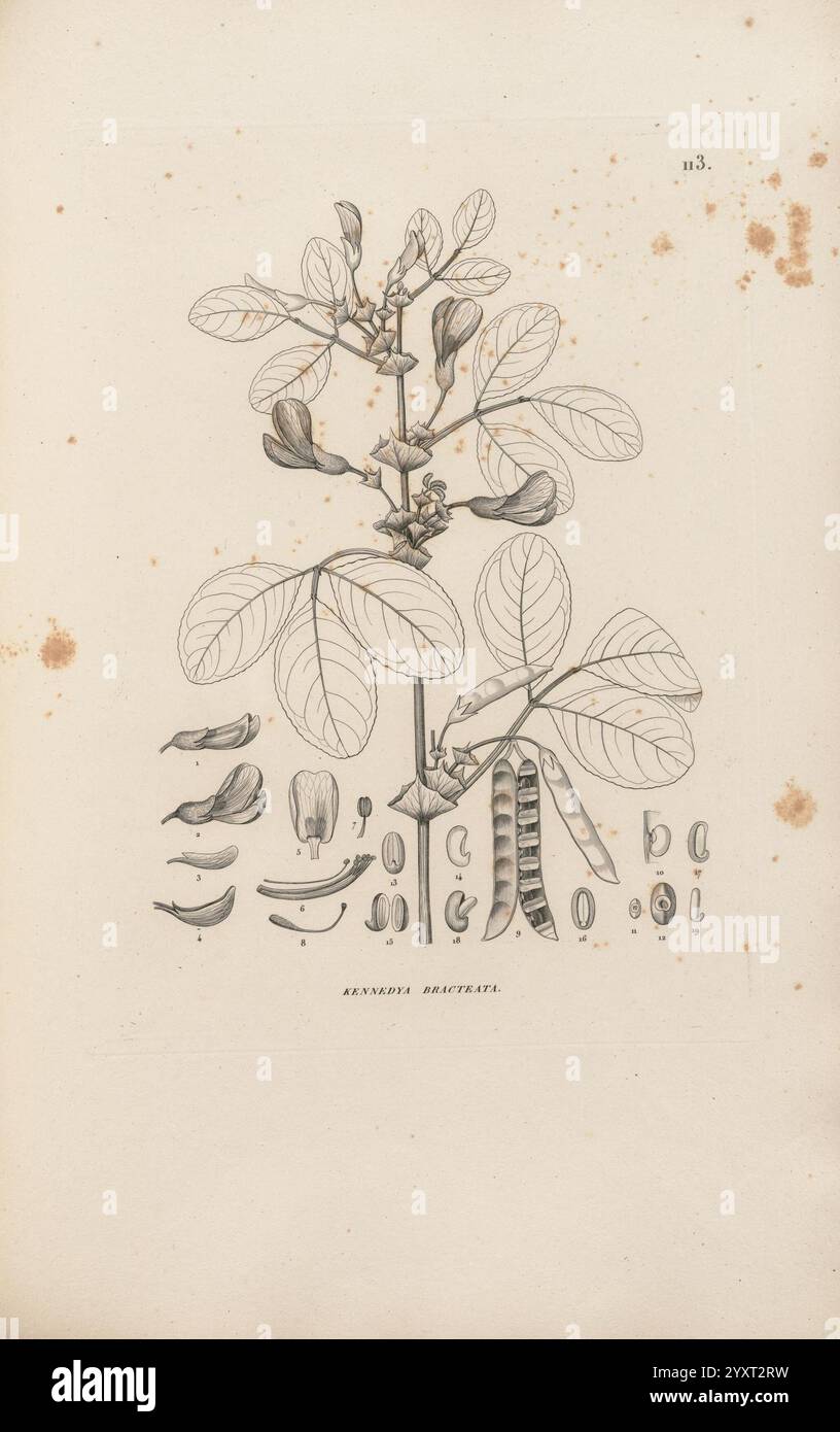 Voyage autour du monde, Paris, Chez Pillet Aîné, 1824-1844., The ...