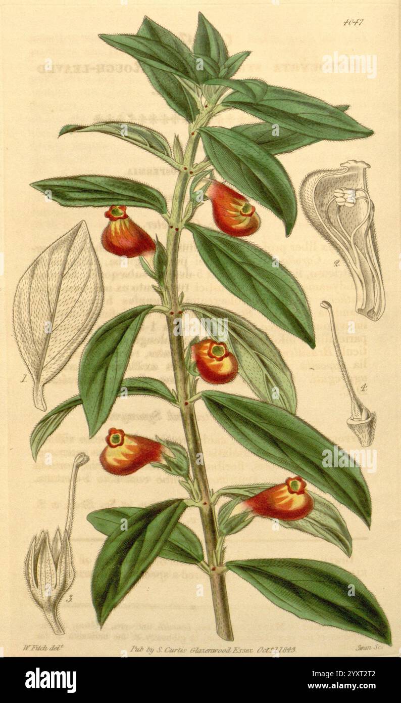 Various related structures hi-res stock photography and images - Alamy