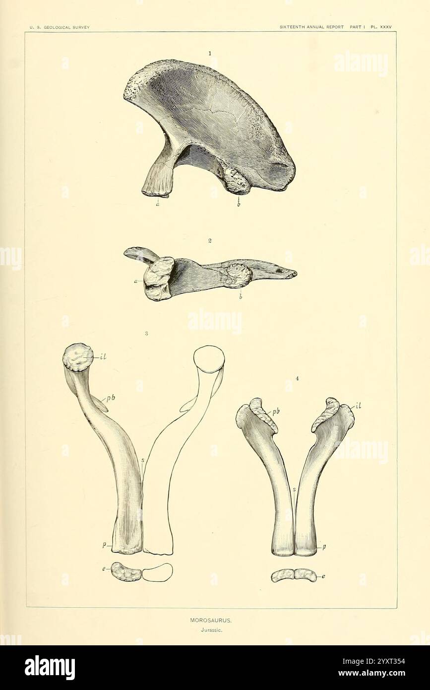 Labeled parts indicating hi-res stock photography and images - Alamy