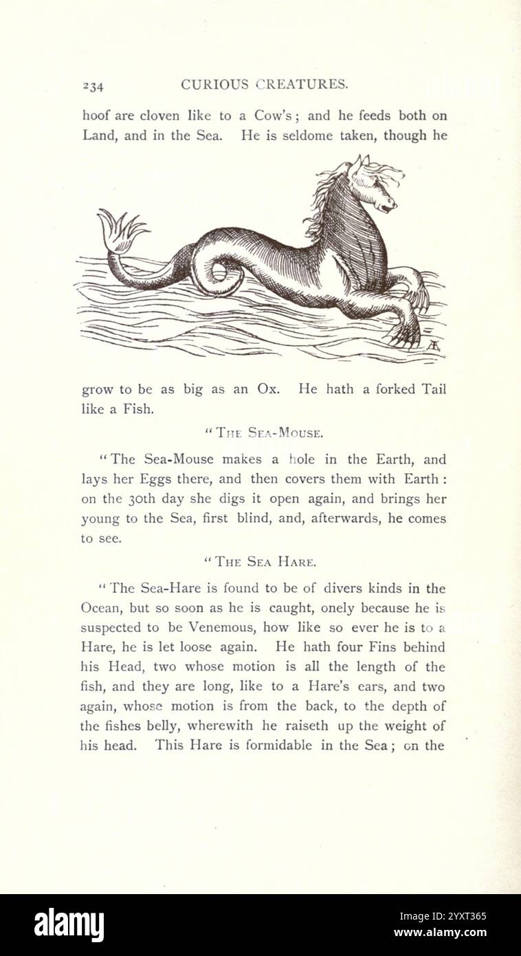 Creatures potentially dangerous nature hi-res stock photography and ...