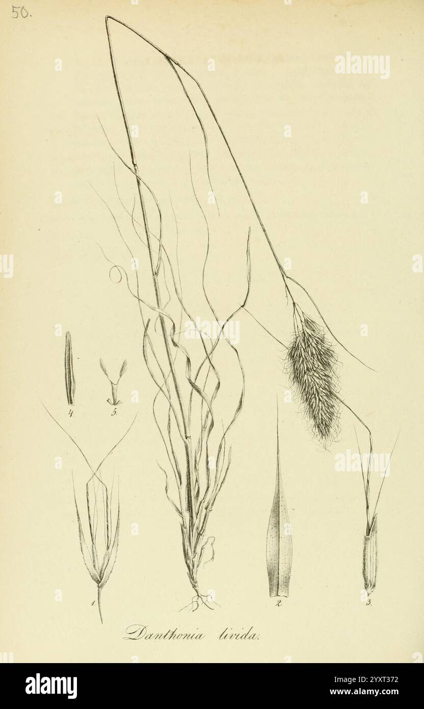 Detailed labeled sketches hi-res stock photography and images - Alamy