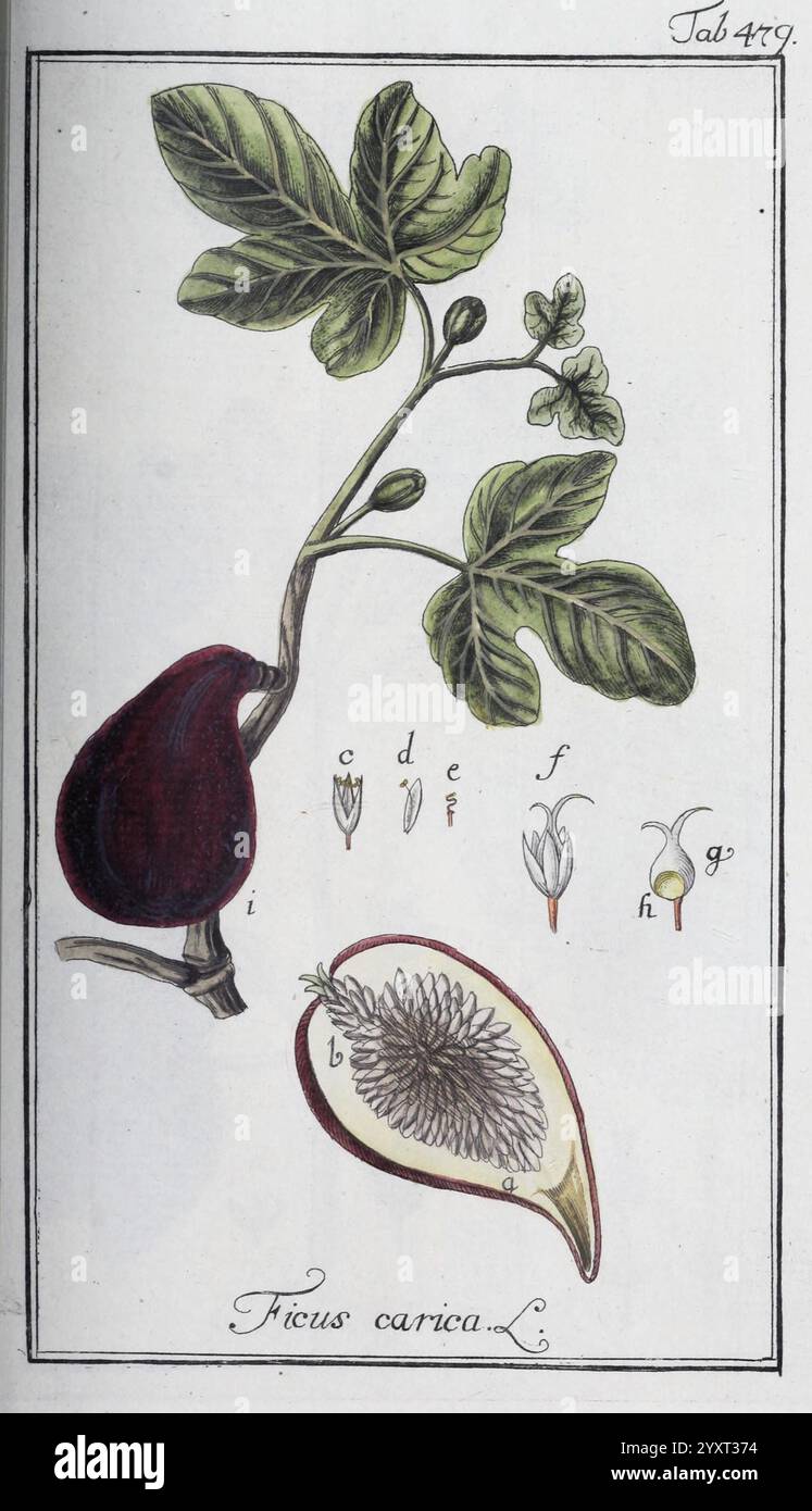 Offering further detail hi-res stock photography and images - Alamy