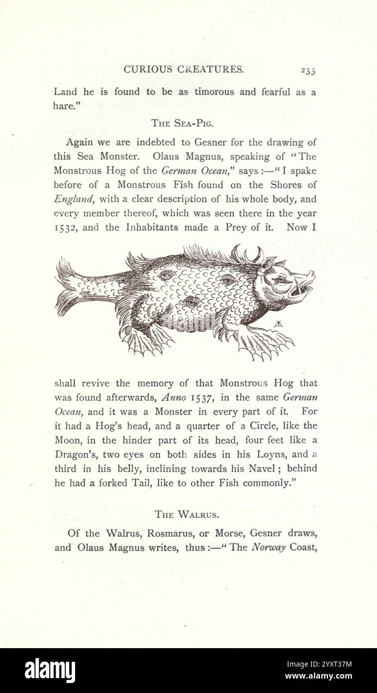 Curious creatures in zoology London John C. Nimmo 1890 animals monsters ...