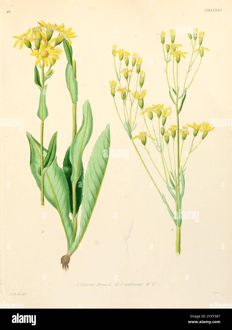 Descriptive labels enhance hi-res stock photography and images - Alamy