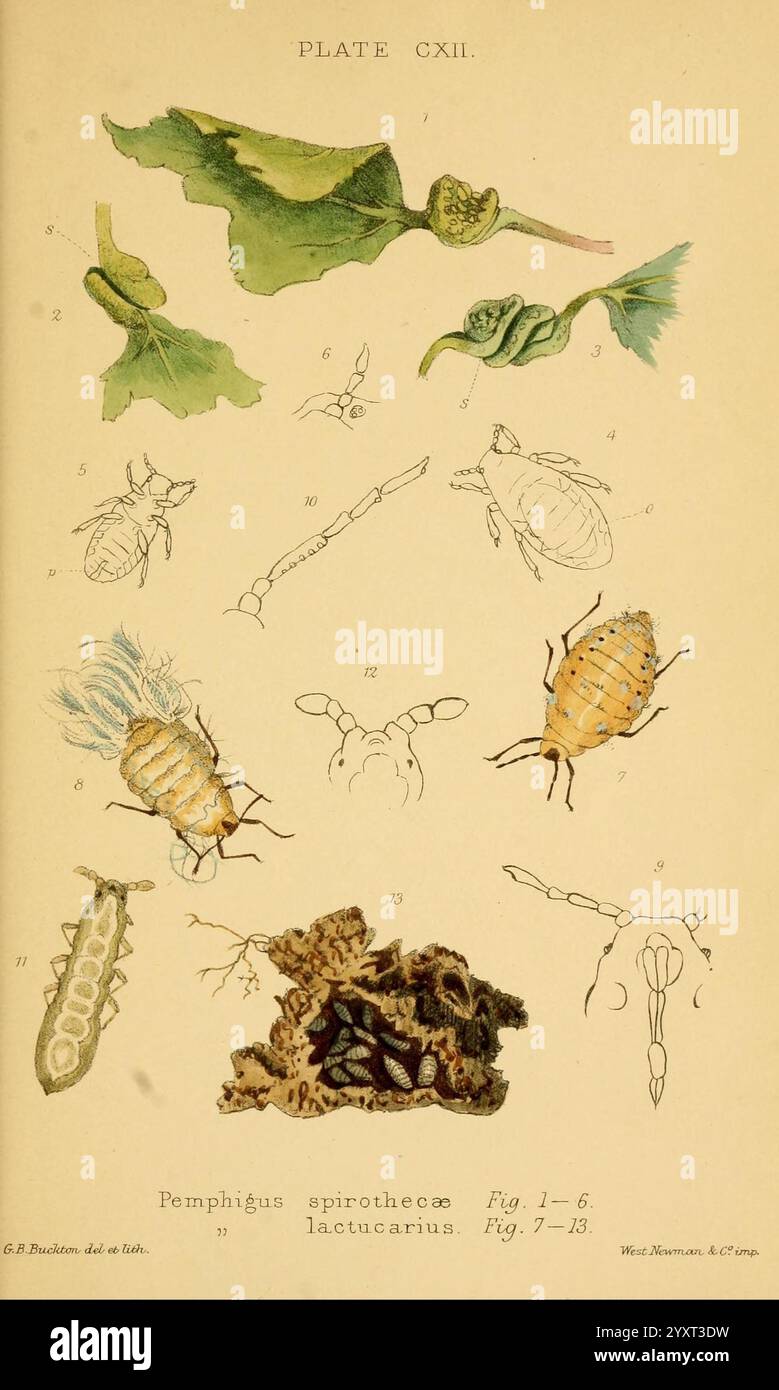 Top section features different types hi-res stock photography and ...