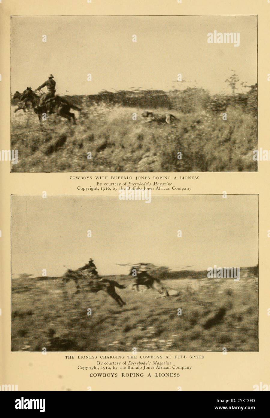 Life-histories of African game animals New York, C. Scribner's Sons ...