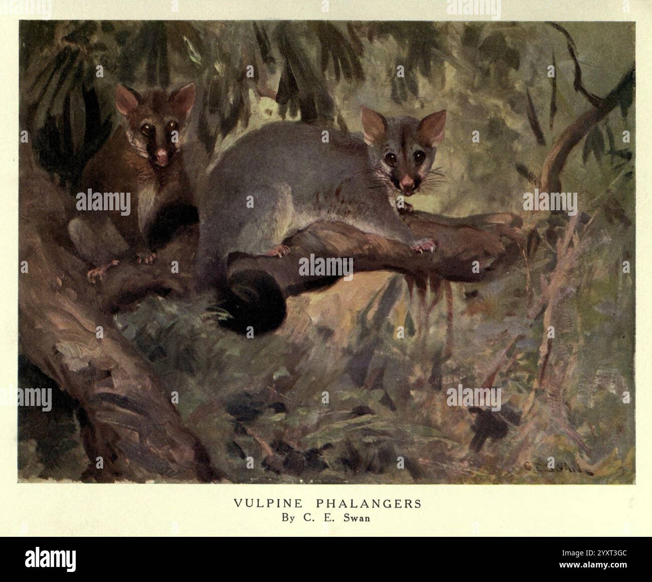 Subtle earth tones create hi-res stock photography and images - Alamy