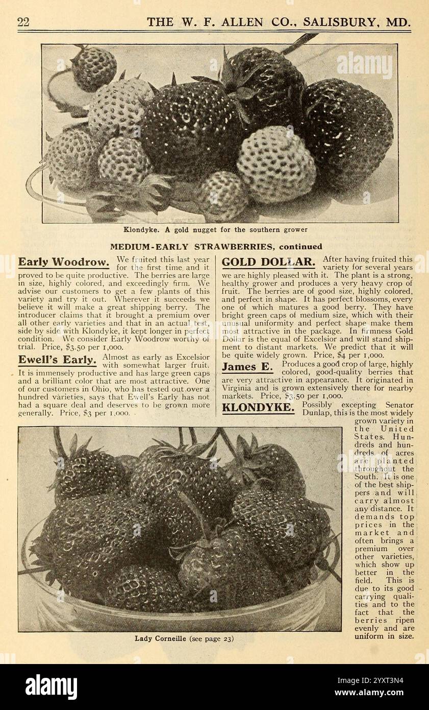 Best uses hi-res stock photography and images - Alamy