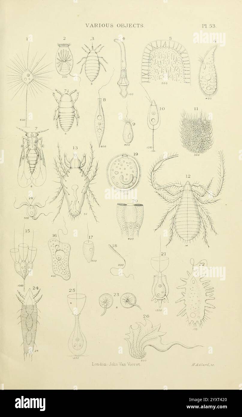 Diverse shapes reflecting hi-res stock photography and images - Alamy