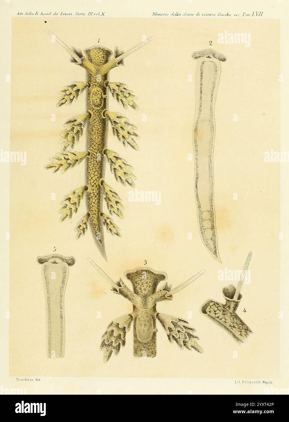 Feature different angles hi-res stock photography and images - Alamy