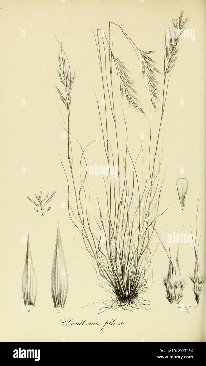 Labeled component highlights aspects hi-res stock photography and ...