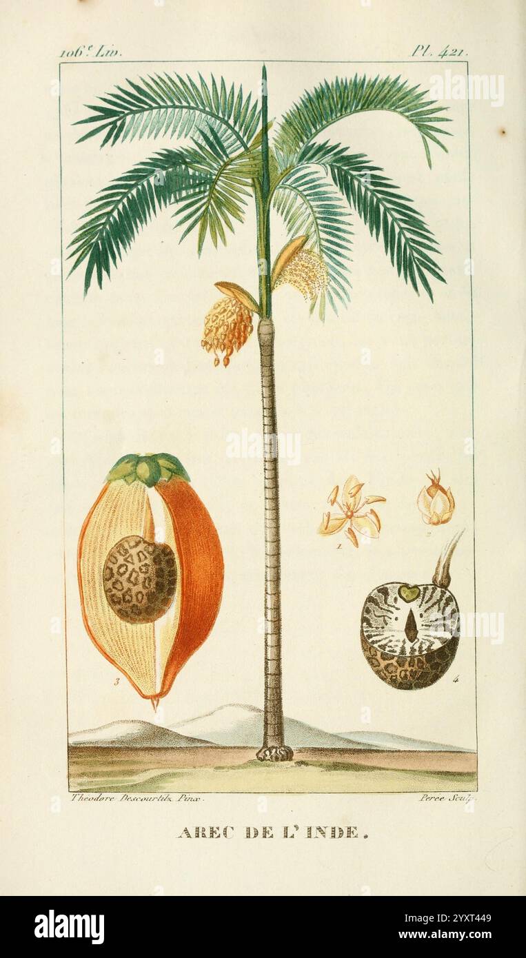 Flore pittoresque et médicale des Antilles, Paris, Pichard, 1821-1829 ...