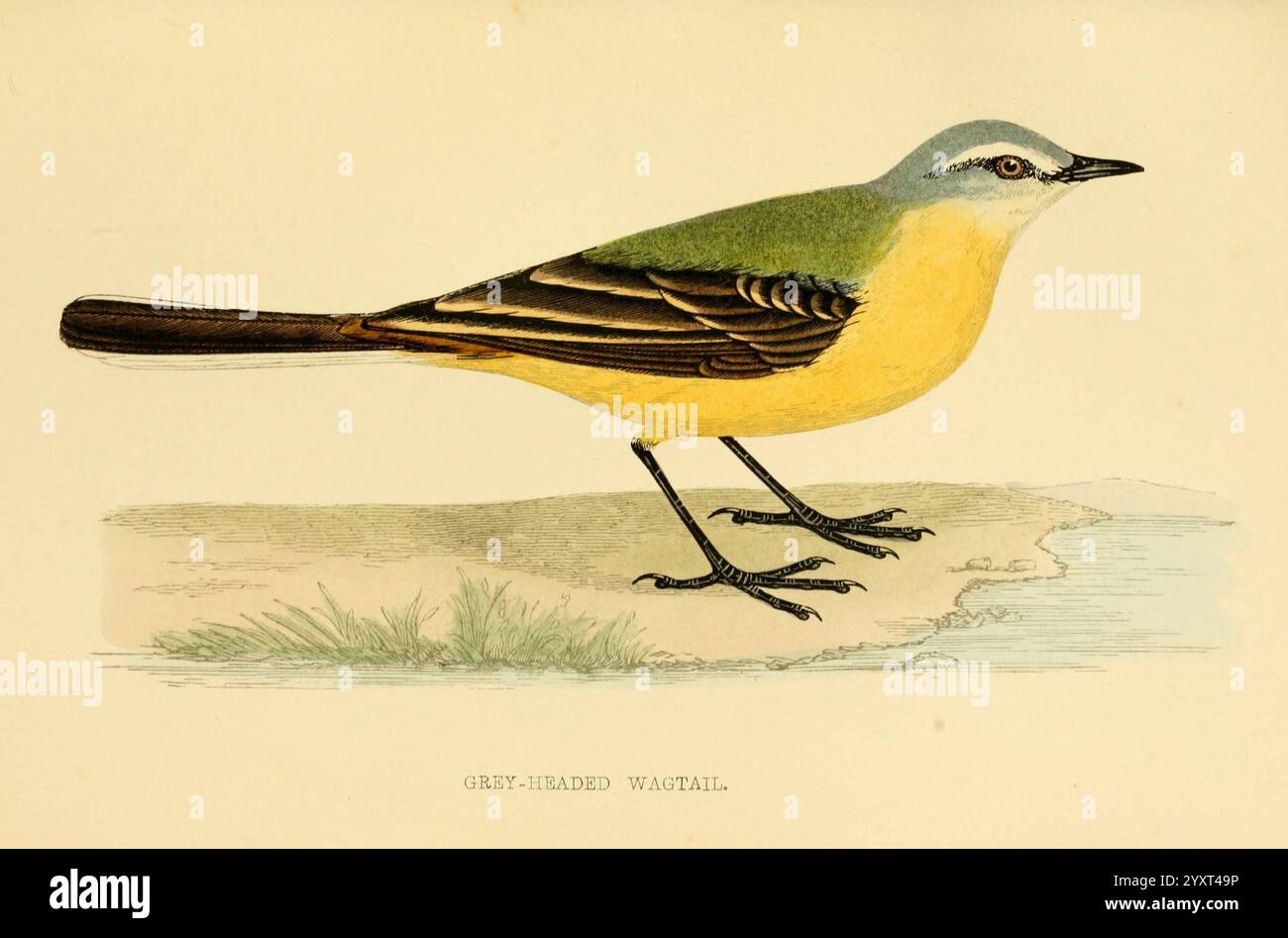 Hint of muted colors hi-res stock photography and images - Alamy