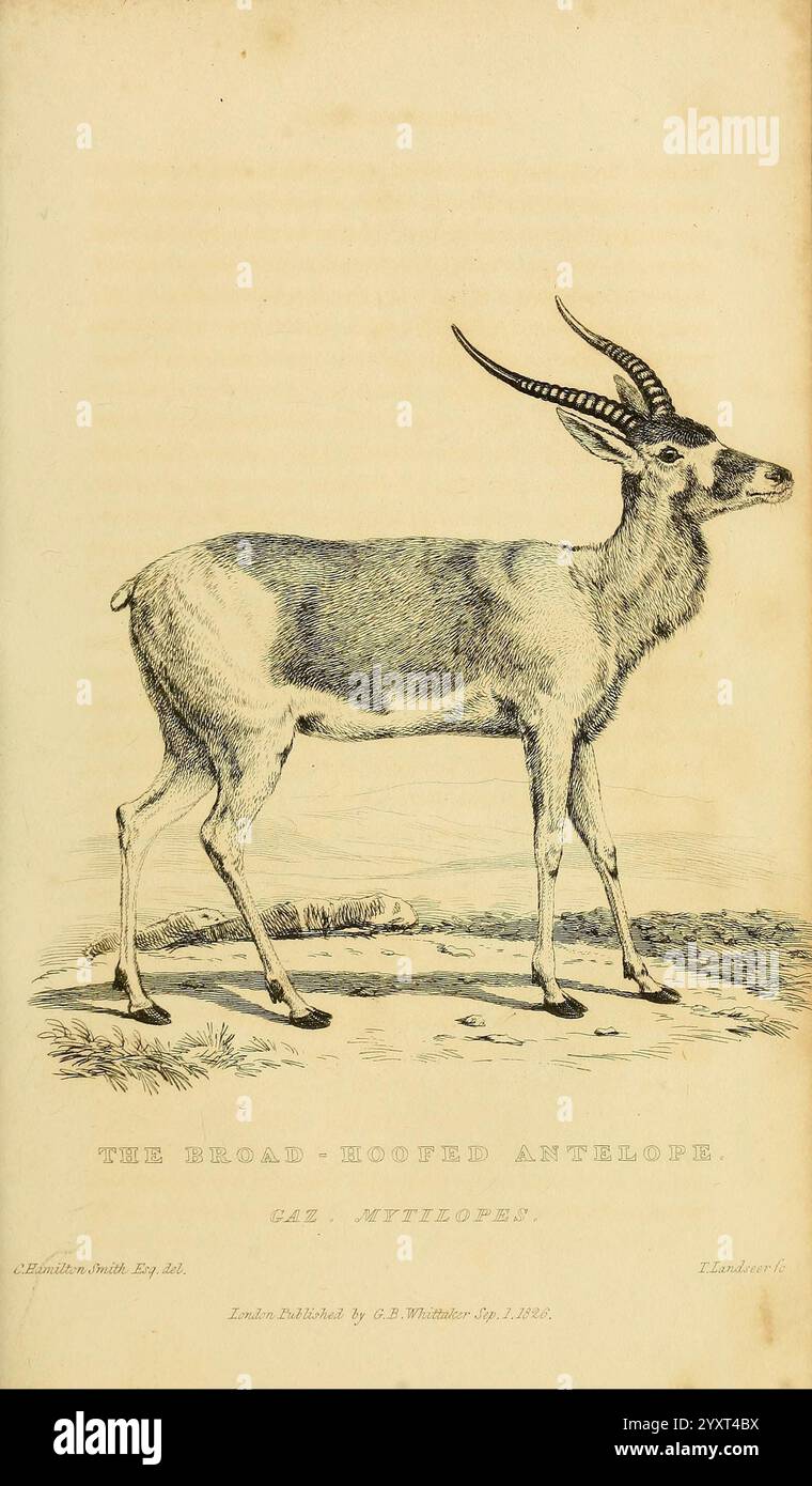 The animal kingdom, London, Printed for G.B. Whittaker, 1827-1835 ...