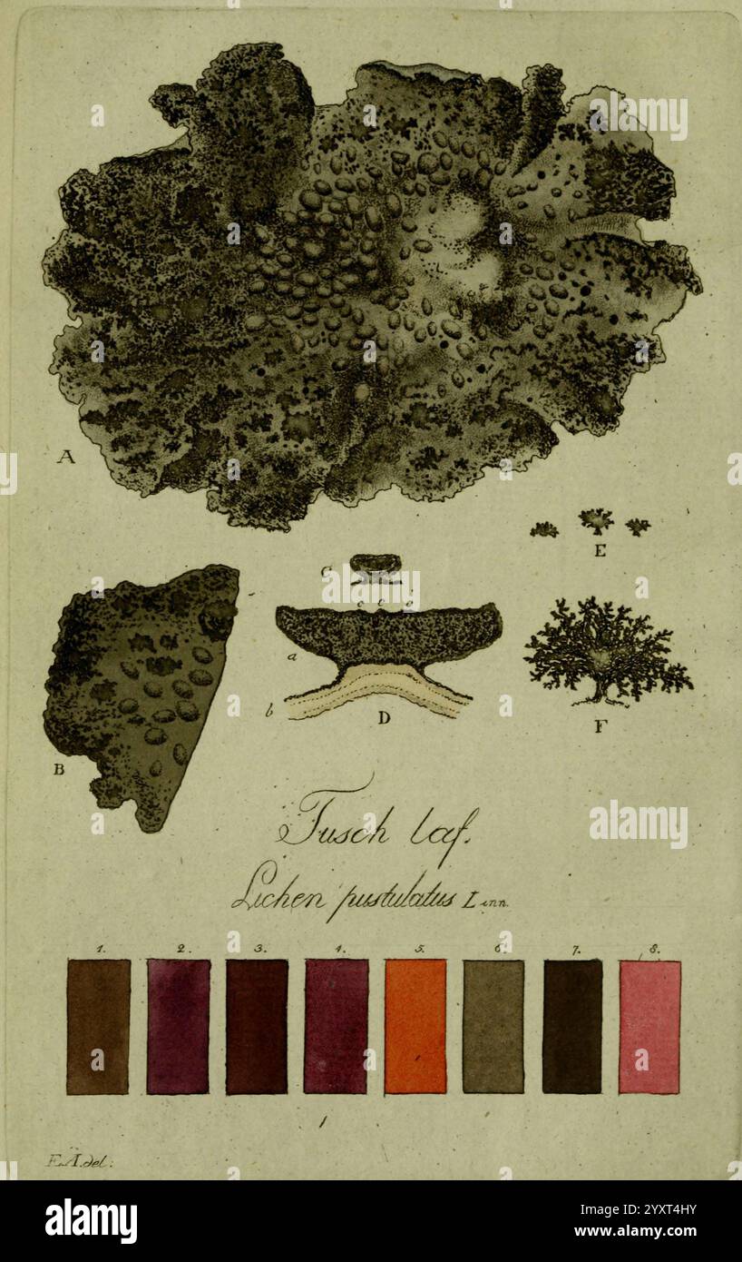 Image displays several labeled sections hi-res stock photography and ...