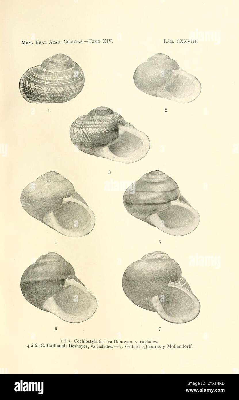 Memorias de la Real Academia de Ciencias Exactas, Físicas y Naturales ...