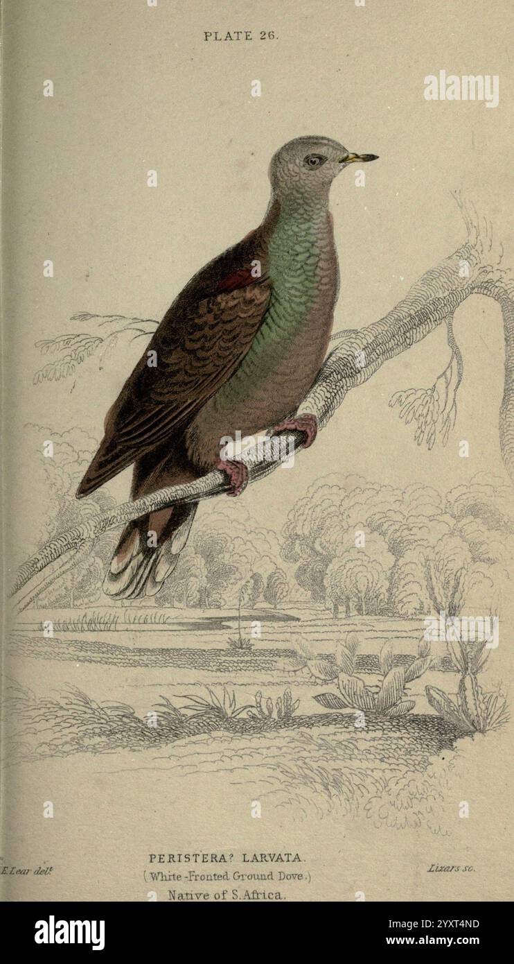 Lush landscape hints hi-res stock photography and images - Alamy