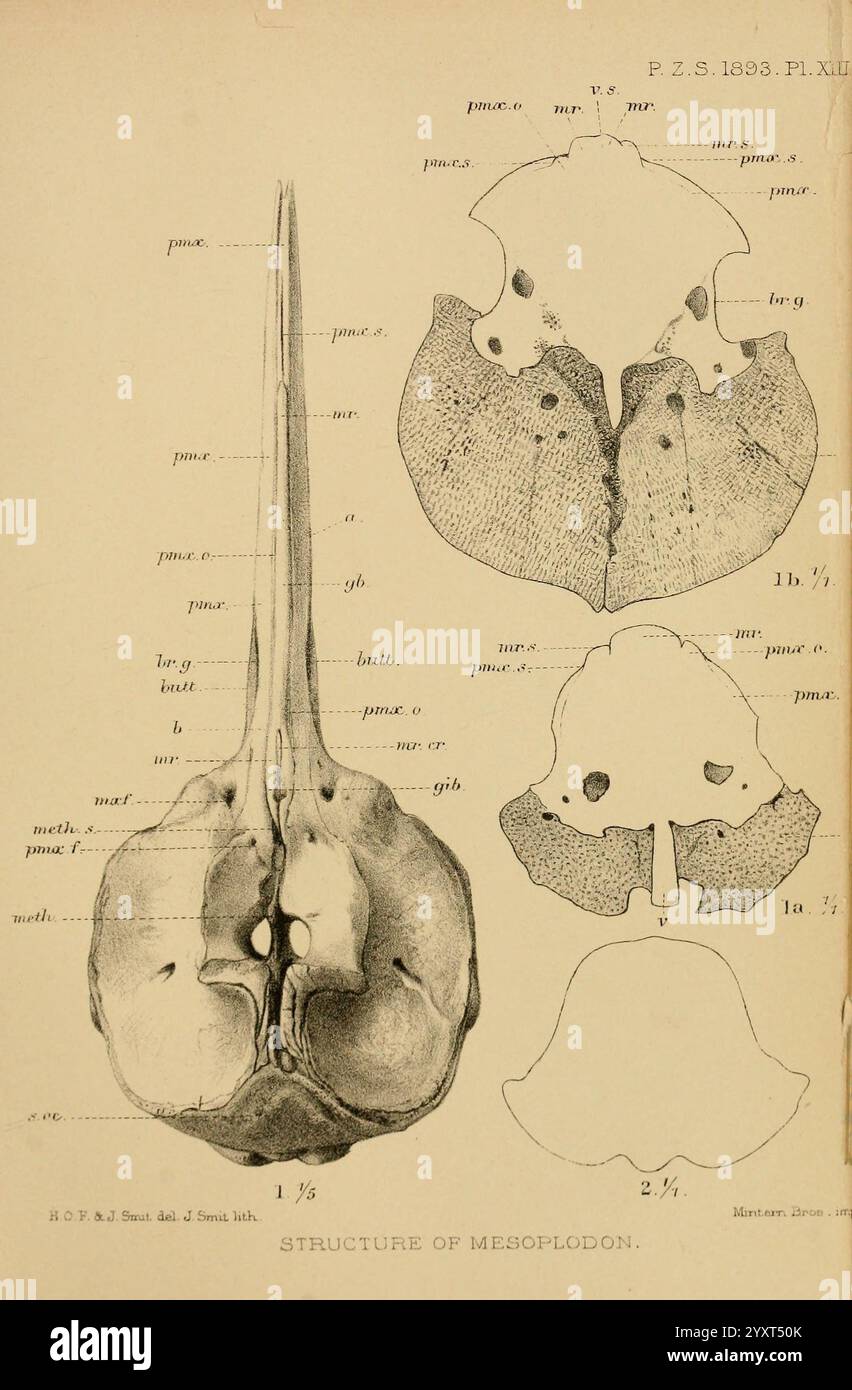 Proceedings of the Zoological Society of London, London, Academic Press ...