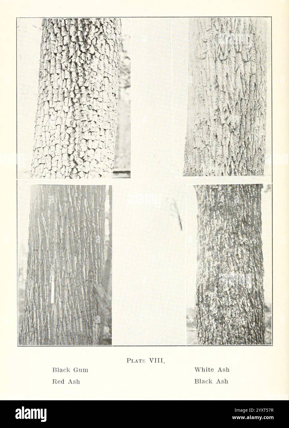 Left section features hi-res stock photography and images - Alamy