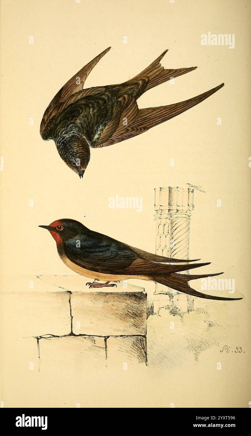 Partially rendered architectural structure hi-res stock photography and ...