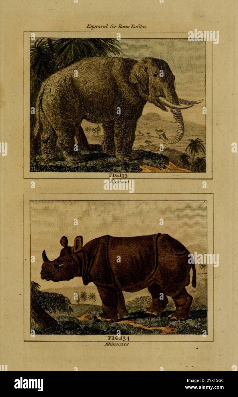 Buffon's Natural history, London: Printed for the Proprietor and sold ...