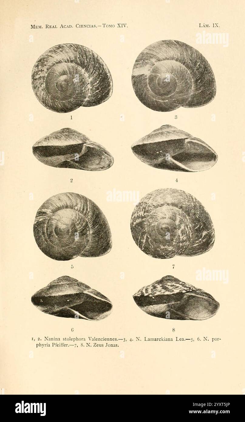 Eight detailed drawings hi-res stock photography and images - Alamy