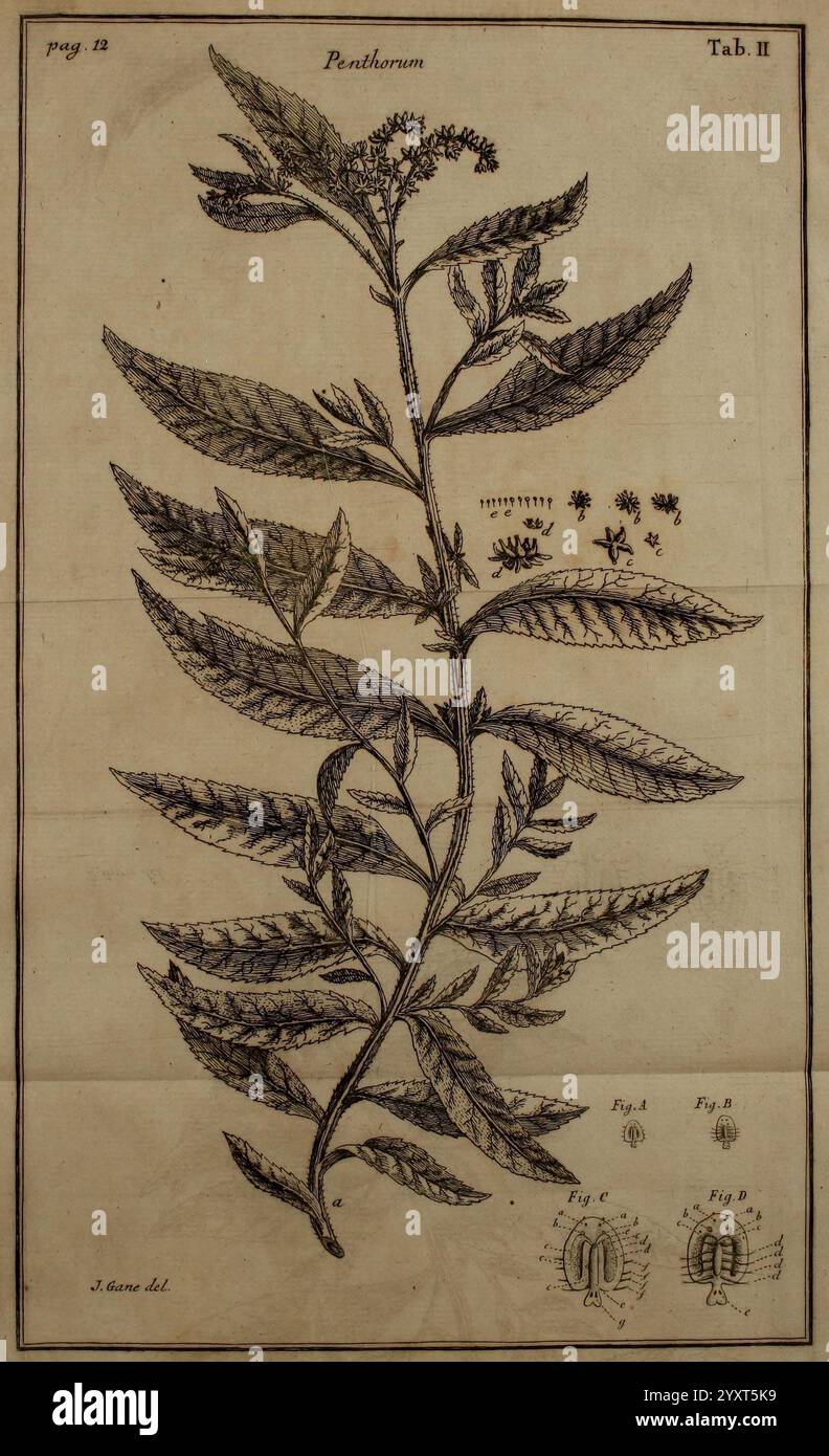 Acta Societatis Regiae Scientiarum Upsaliensis, Stockholm, science ...