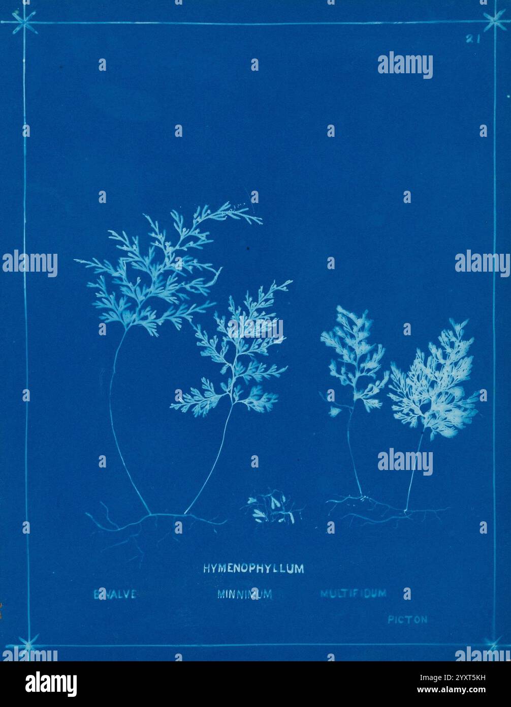 Faint geometric borders hi-res stock photography and images - Alamy