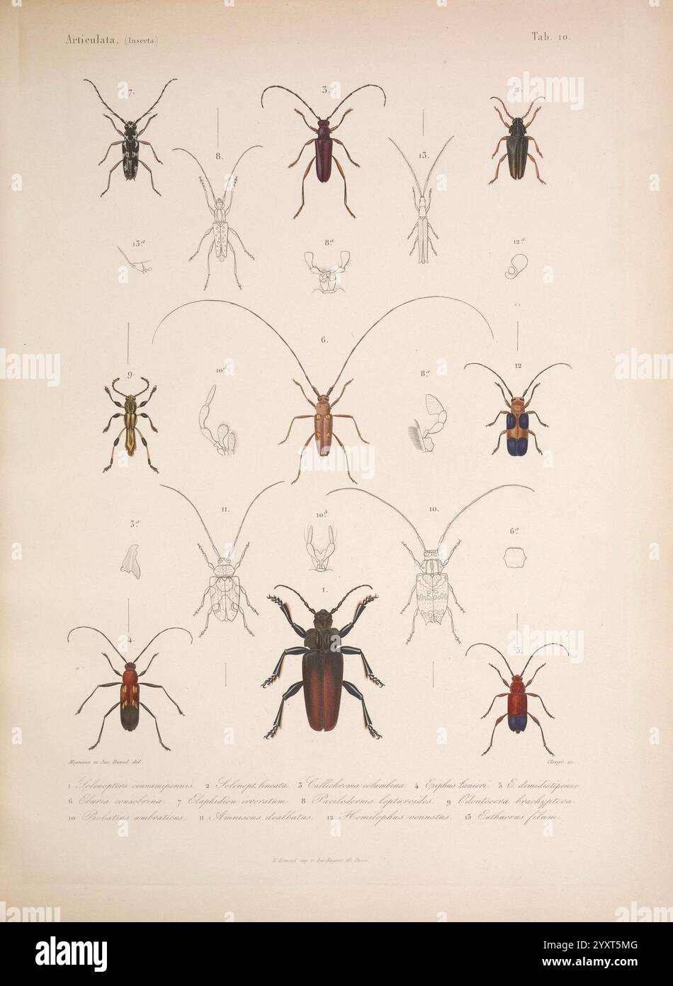 Histoire physique, politique et naturelle de l'ile de Cuba: Atlas ...