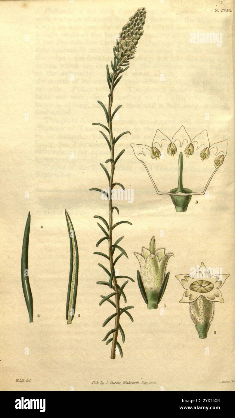 Additional close ups highlighting hi-res stock photography and images ...