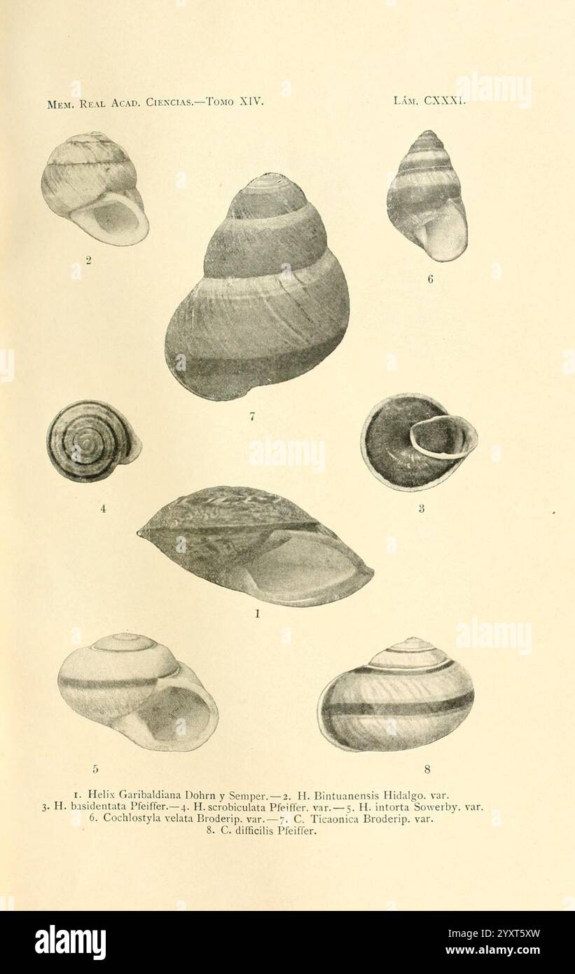 Memorias de la Real Academia de Ciencias Exactas, Fisicas y Naturales ...