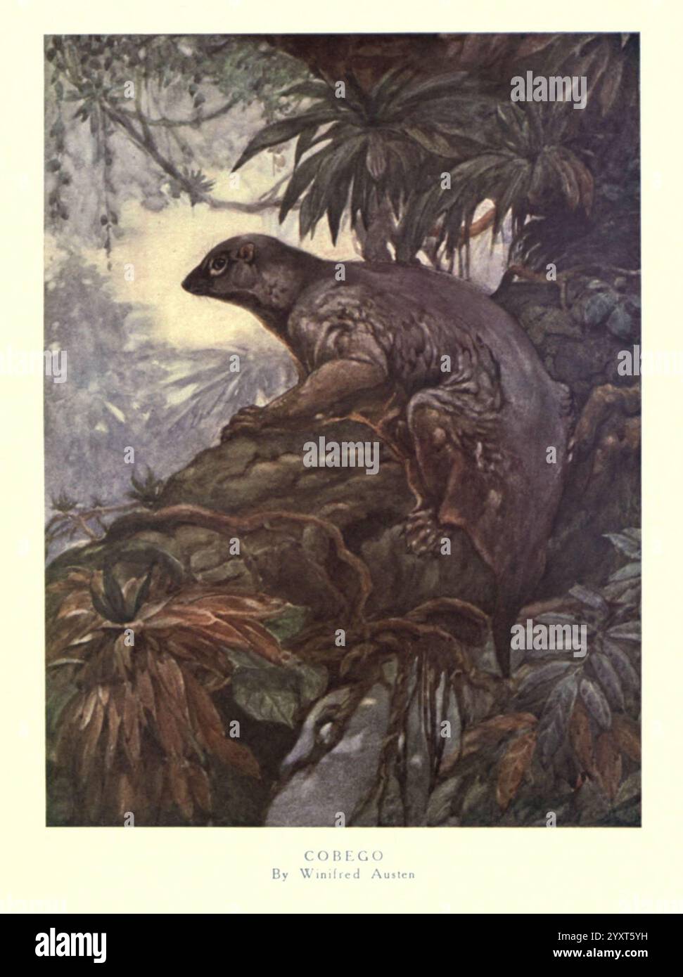 Louise austen hi-res stock photography and images - Alamy