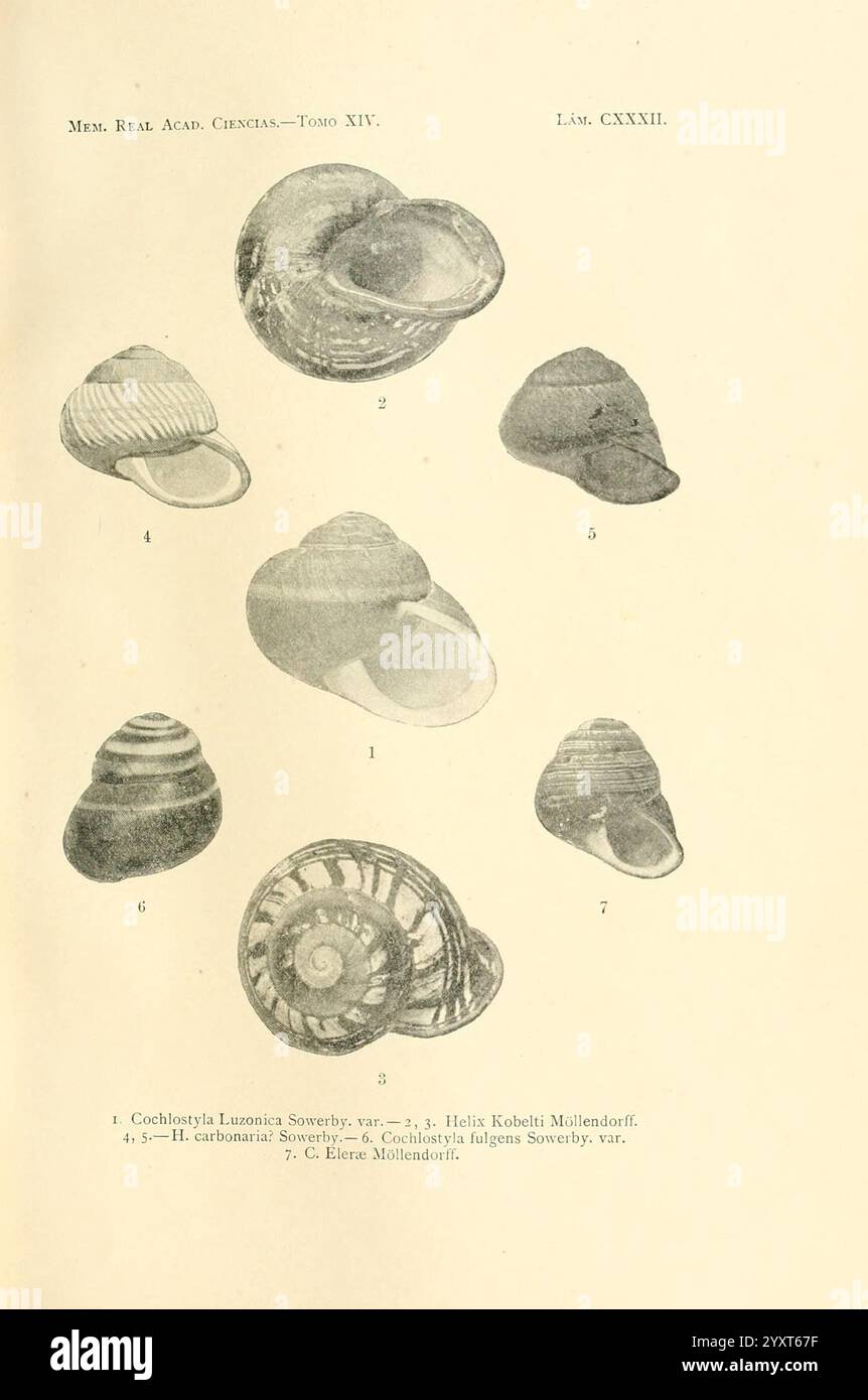 Numbered key corresponds hi-res stock photography and images - Alamy