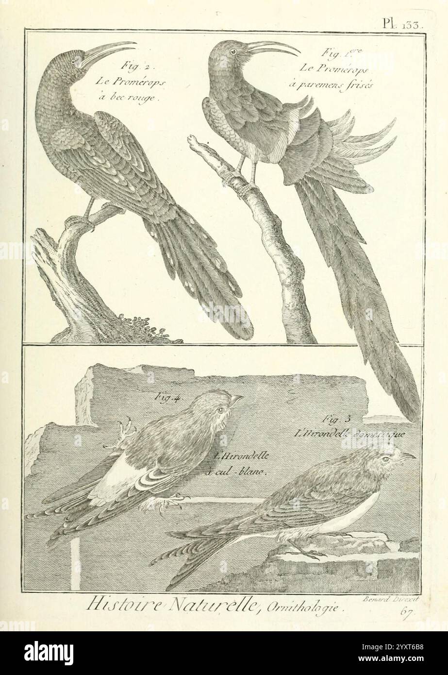 Tableau encyclopédique et méthodique des trois règnes de la nature, A ...