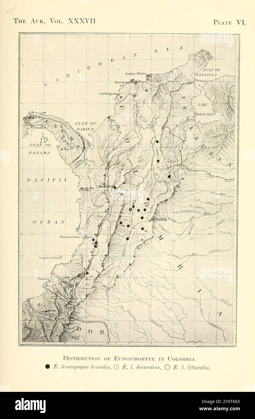 The Auk Washington, D.C. American Ornithologists' Union etc. 1884 ...