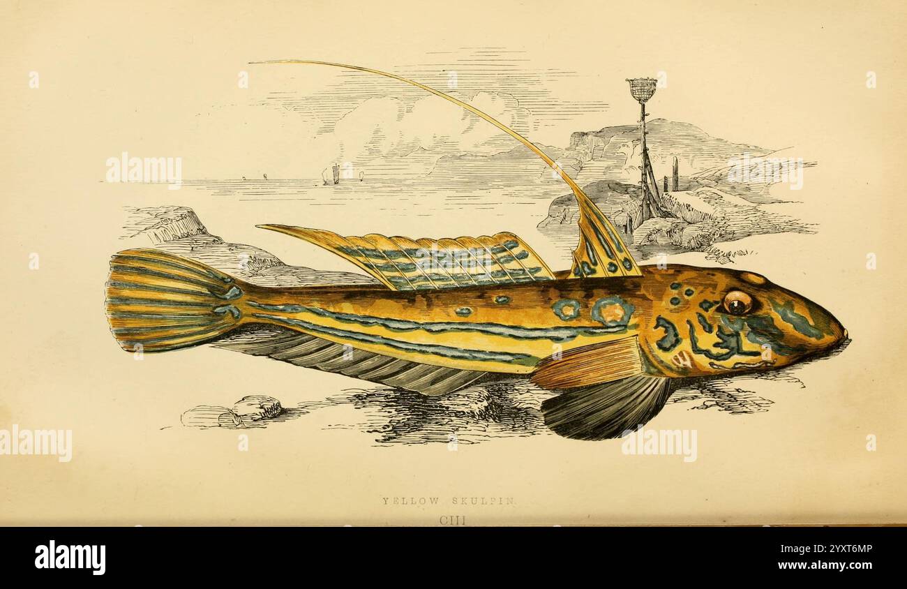 Hints of distant figures hi-res stock photography and images - Alamy