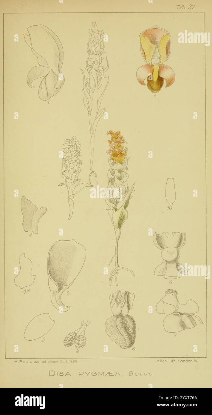 Multiple labeled drawings hi-res stock photography and images - Alamy
