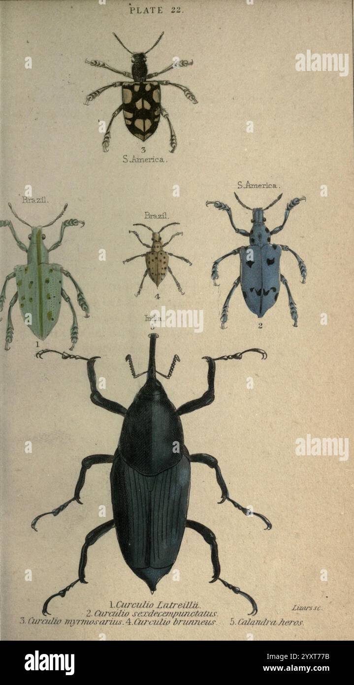 Bottom section prominently displays hi-res stock photography and images ...