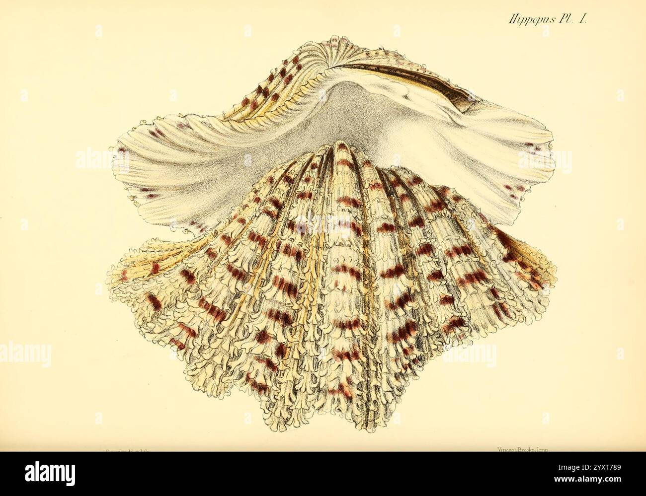 Outer surface displays hi-res stock photography and images - Alamy