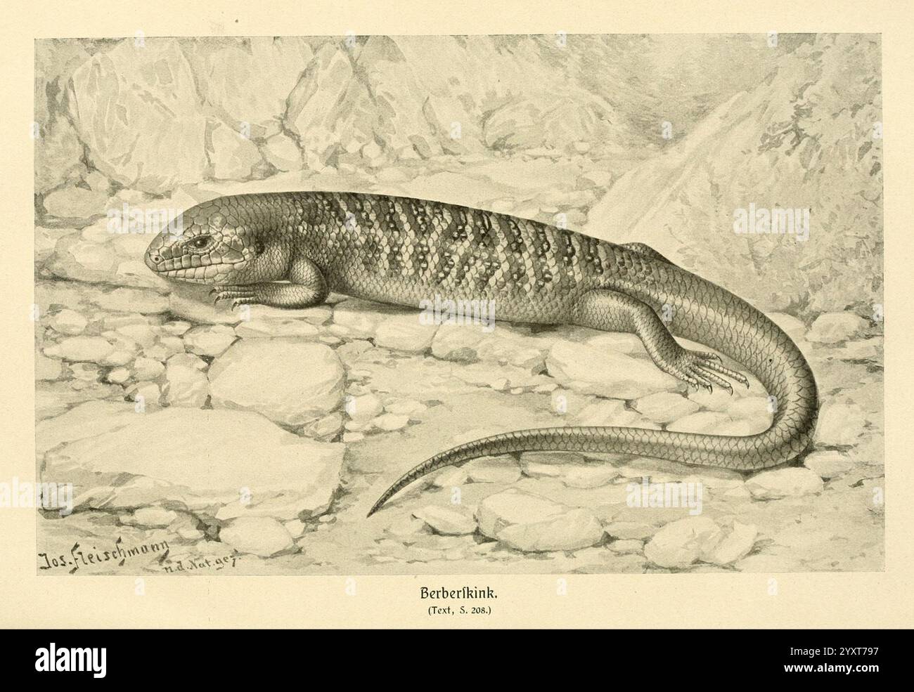 Featuring smooth stones hi-res stock photography and images - Alamy