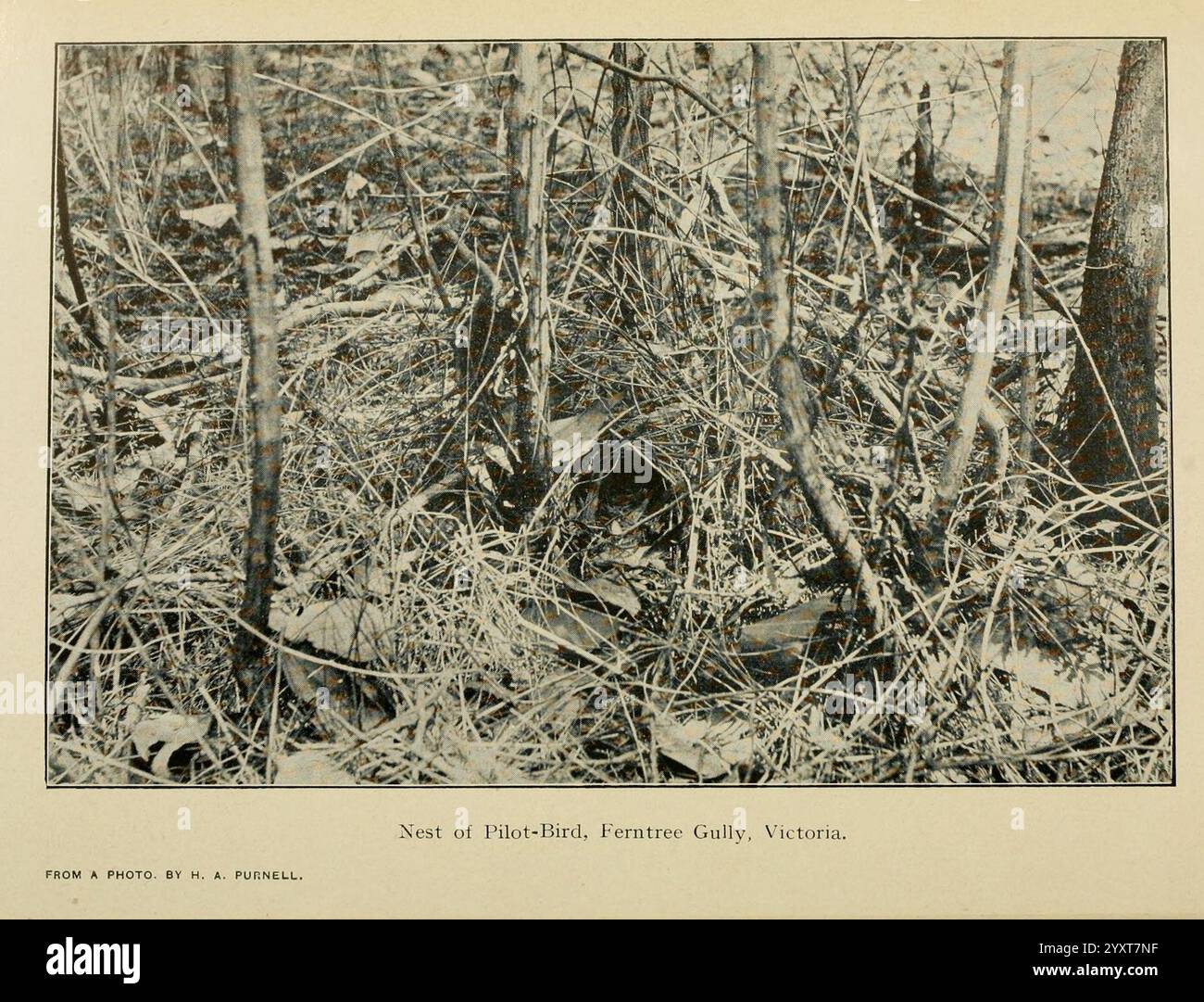 Hints of textured color hinting hi-res stock photography and images - Alamy
