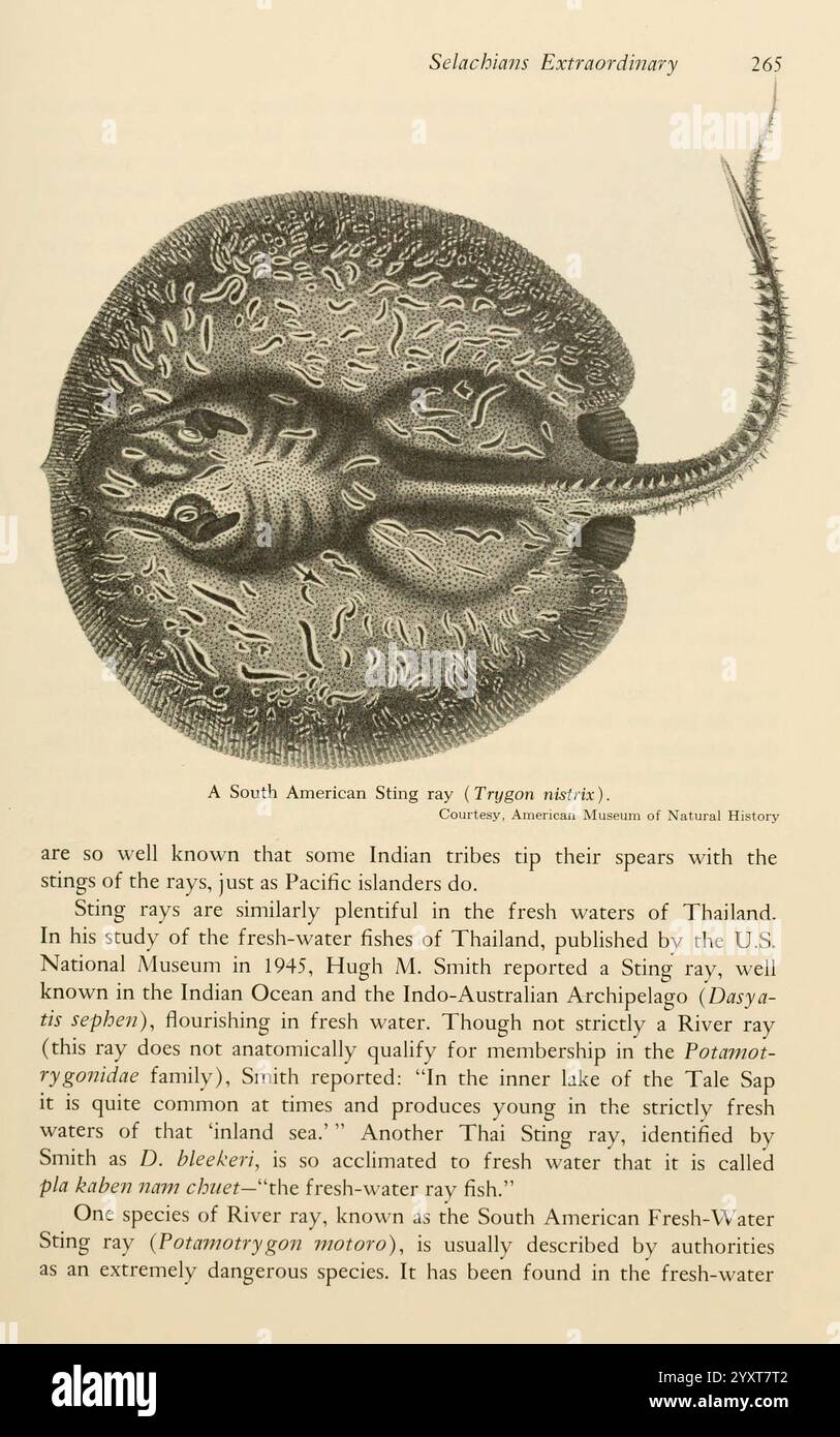 Shadows in the sea, Philadelphia, Chilton Books [1963], Woods Hole ...