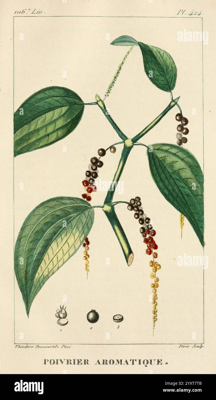Flore pittoresque et médicale des Antilles, Paris, Pichard, 1821-1829 ...
