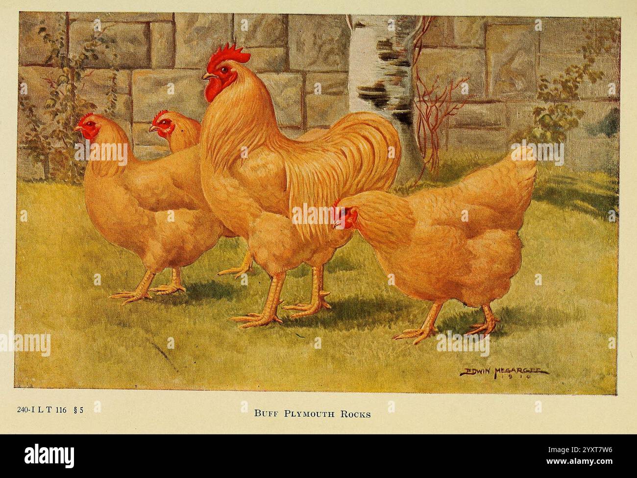 Stances suggesting hi-res stock photography and images - Alamy